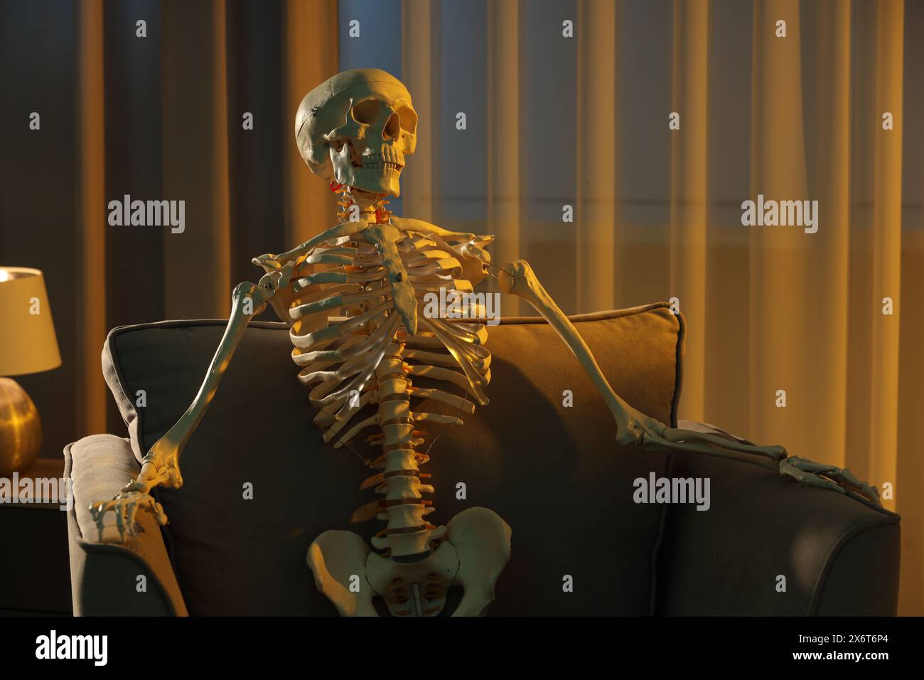 Waiting concept. Human skeleton sitting in armchair indoors Stock Photo ...