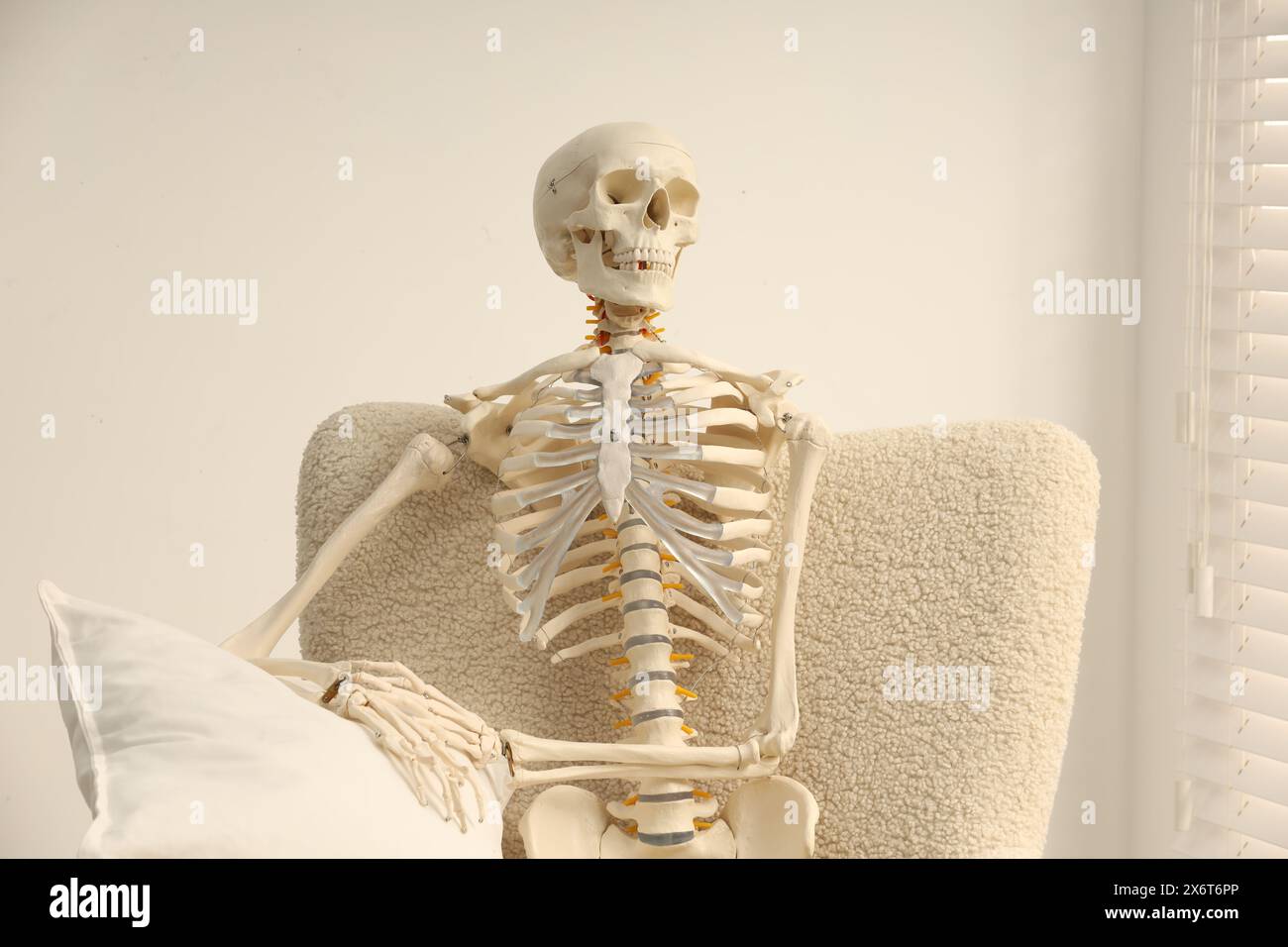 Waiting concept. Human skeleton sitting in armchair indoors Stock Photo ...