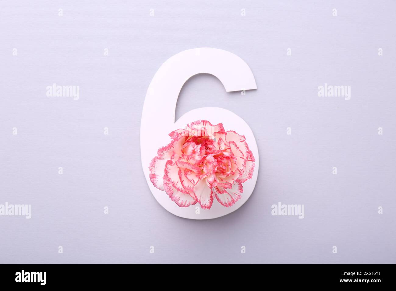 Paper number 6 and beautiful flower on light grey background, top view ...