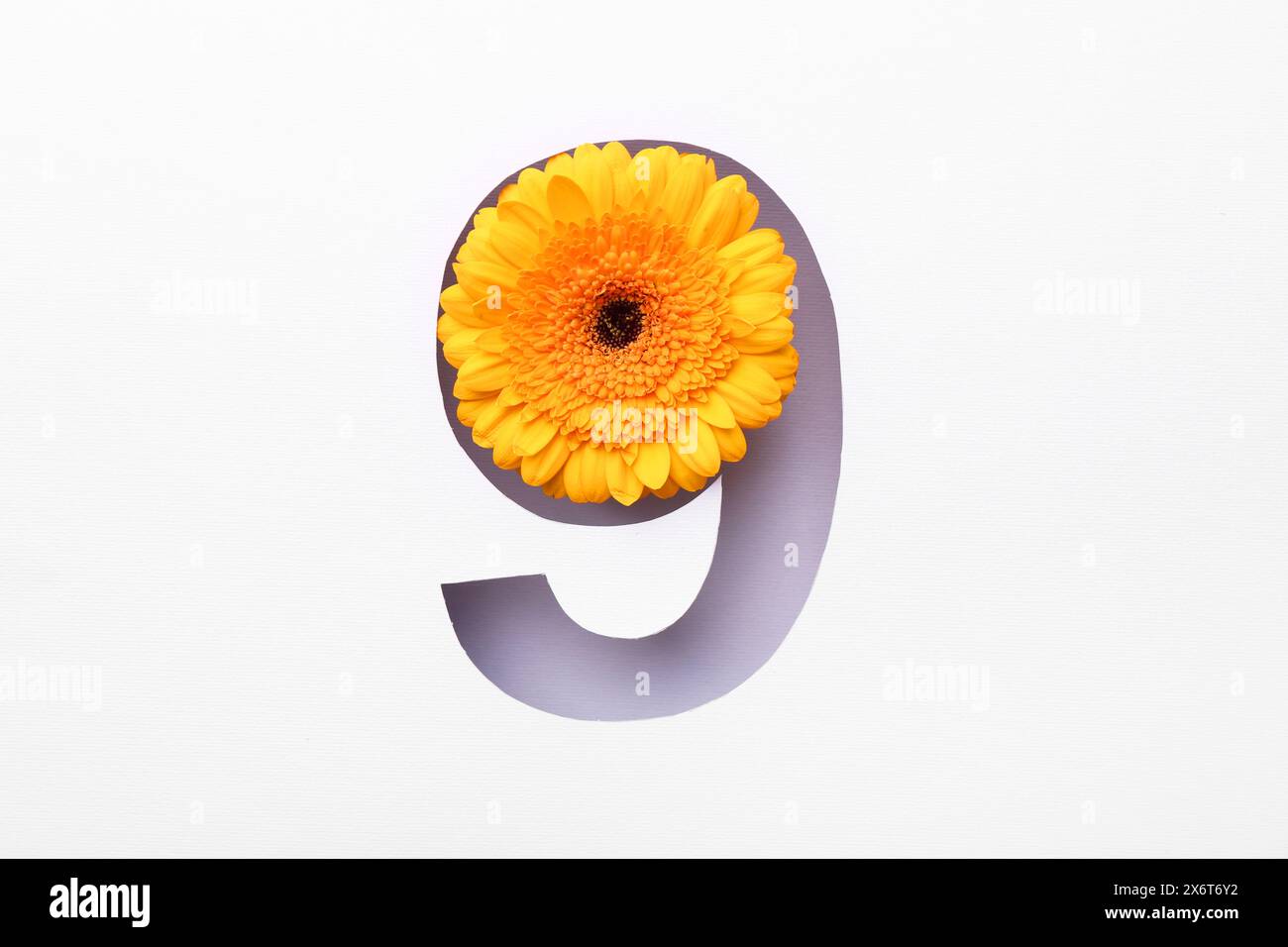 Number 9 shape hole in white paper with beautiful flower, top view ...