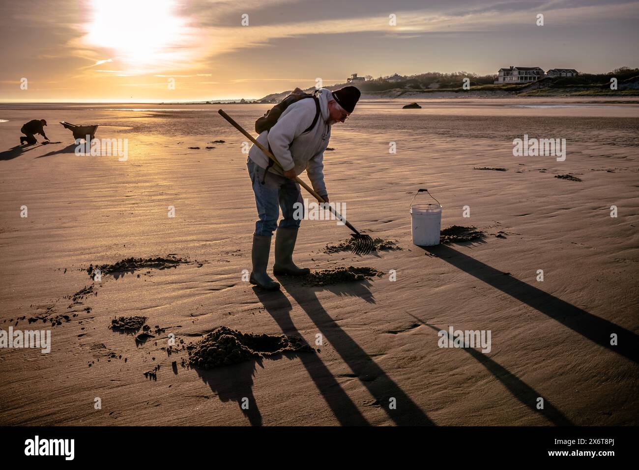 Clam digging hi-res stock photography and images - Alamy