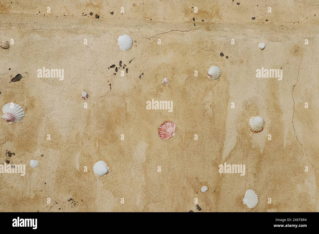 Inlaid shells hi-res stock photography and images - Alamy