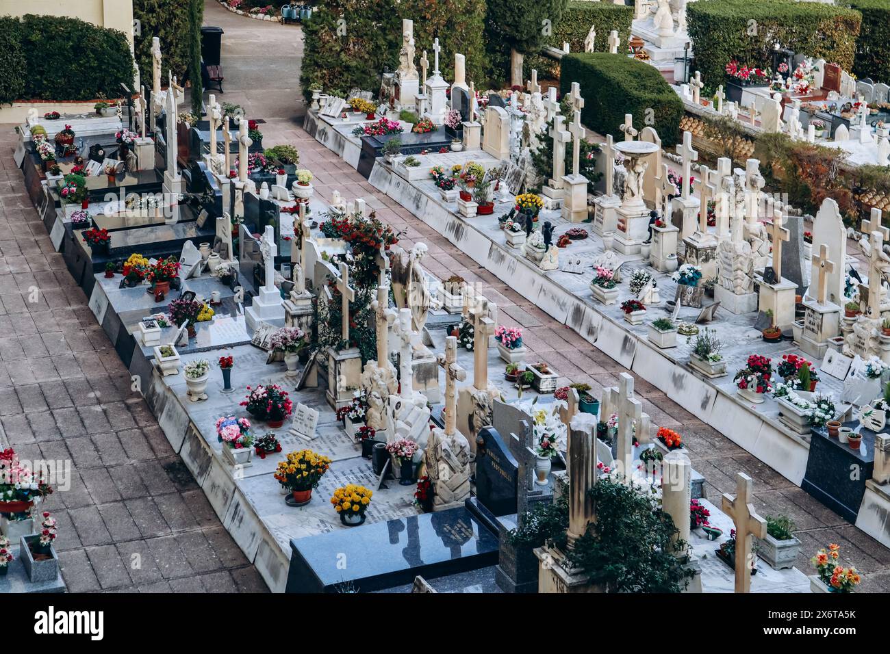 Monaco, Monaco - 18 November 2023 : View of the old cemetery in the ...