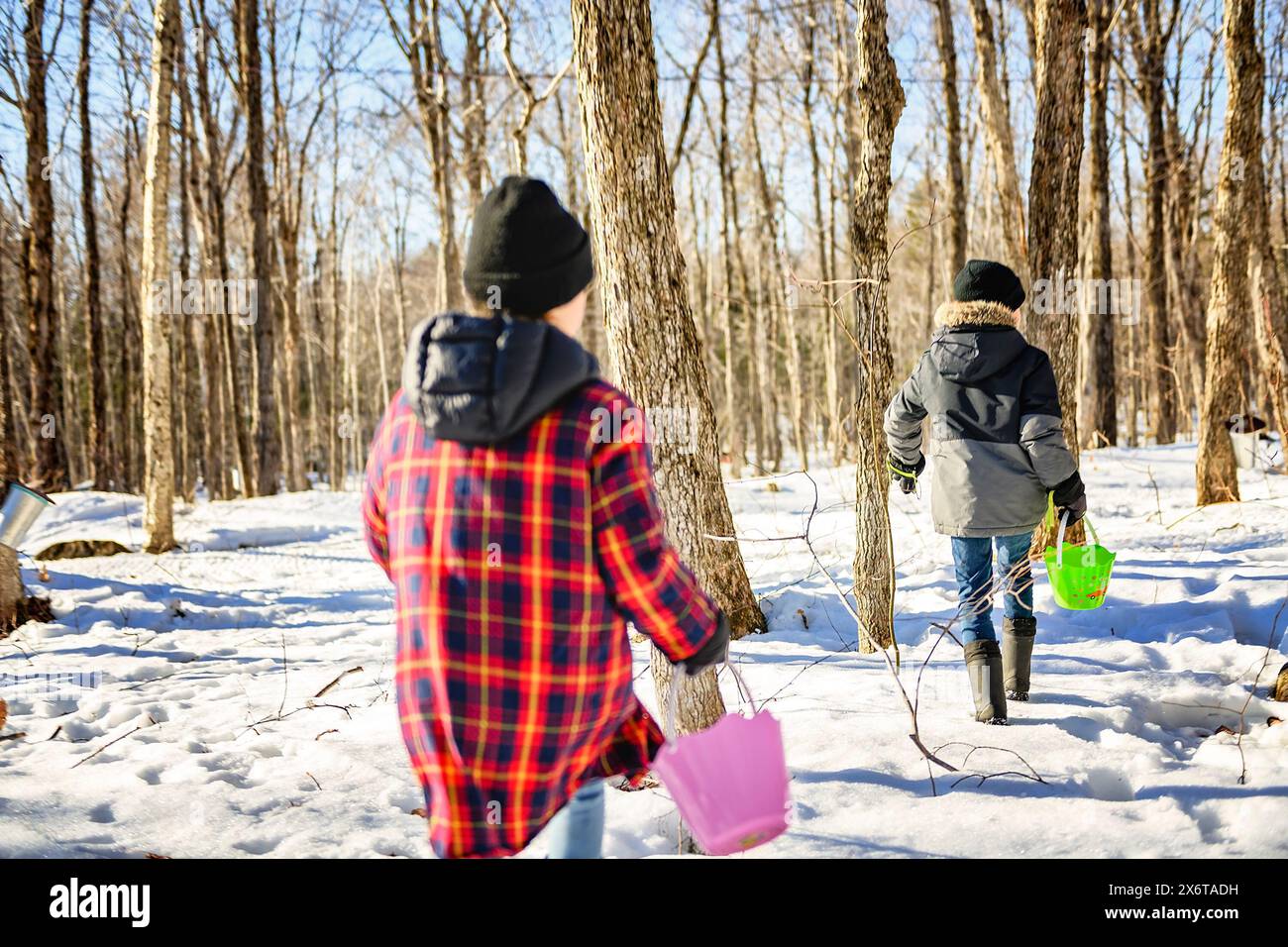 Cute child playing egg hunt on Easter forest close to a maple shack ...
