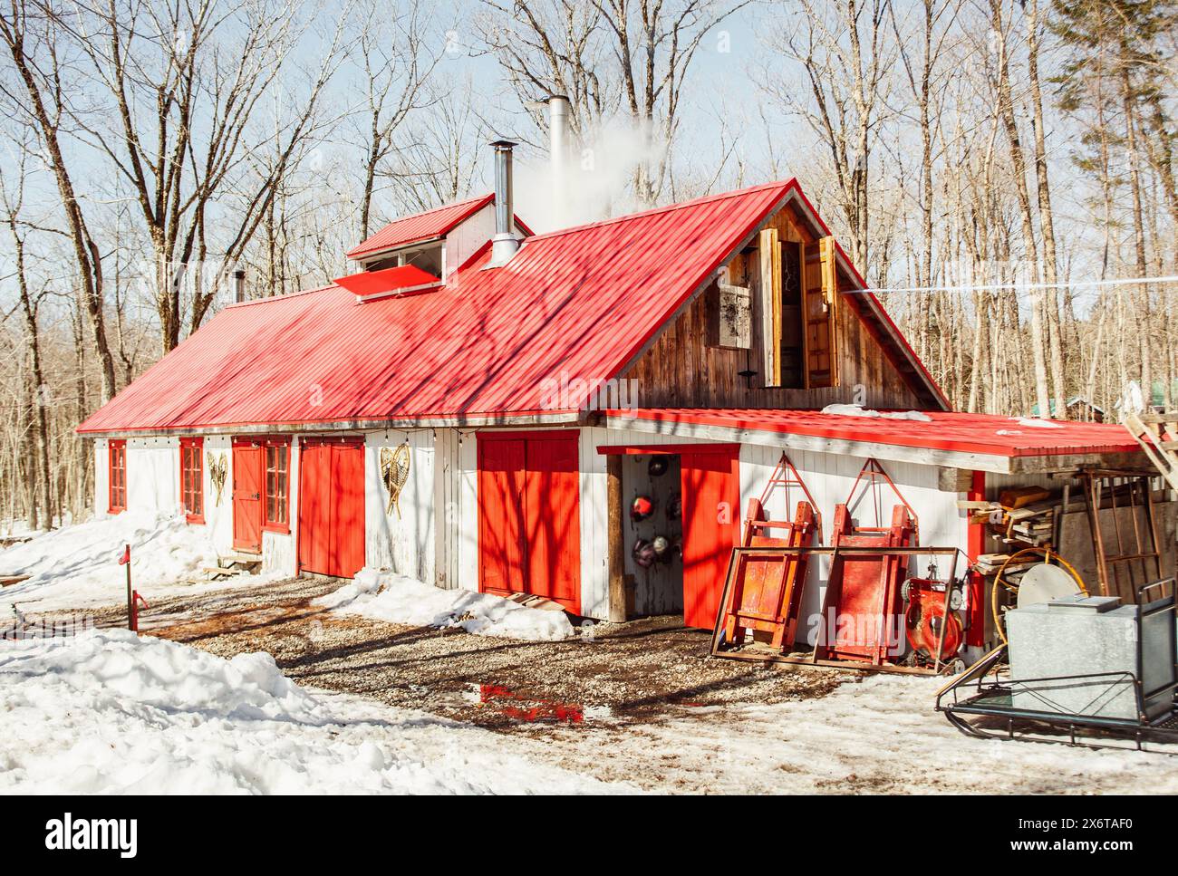 maple syrup sugar shack in forest on maple season Stock Photo - Alamy