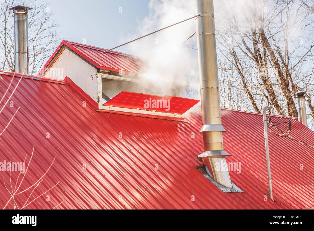 maple syrup sugar shack in forest on maple season Stock Photo - Alamy