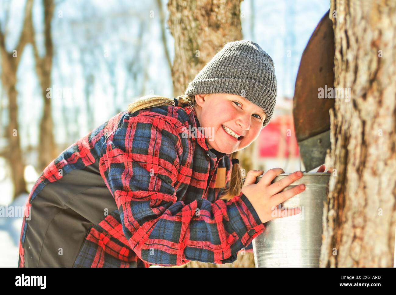 sugar shack, child having fun at maple shack forest Stock Photo - Alamy
