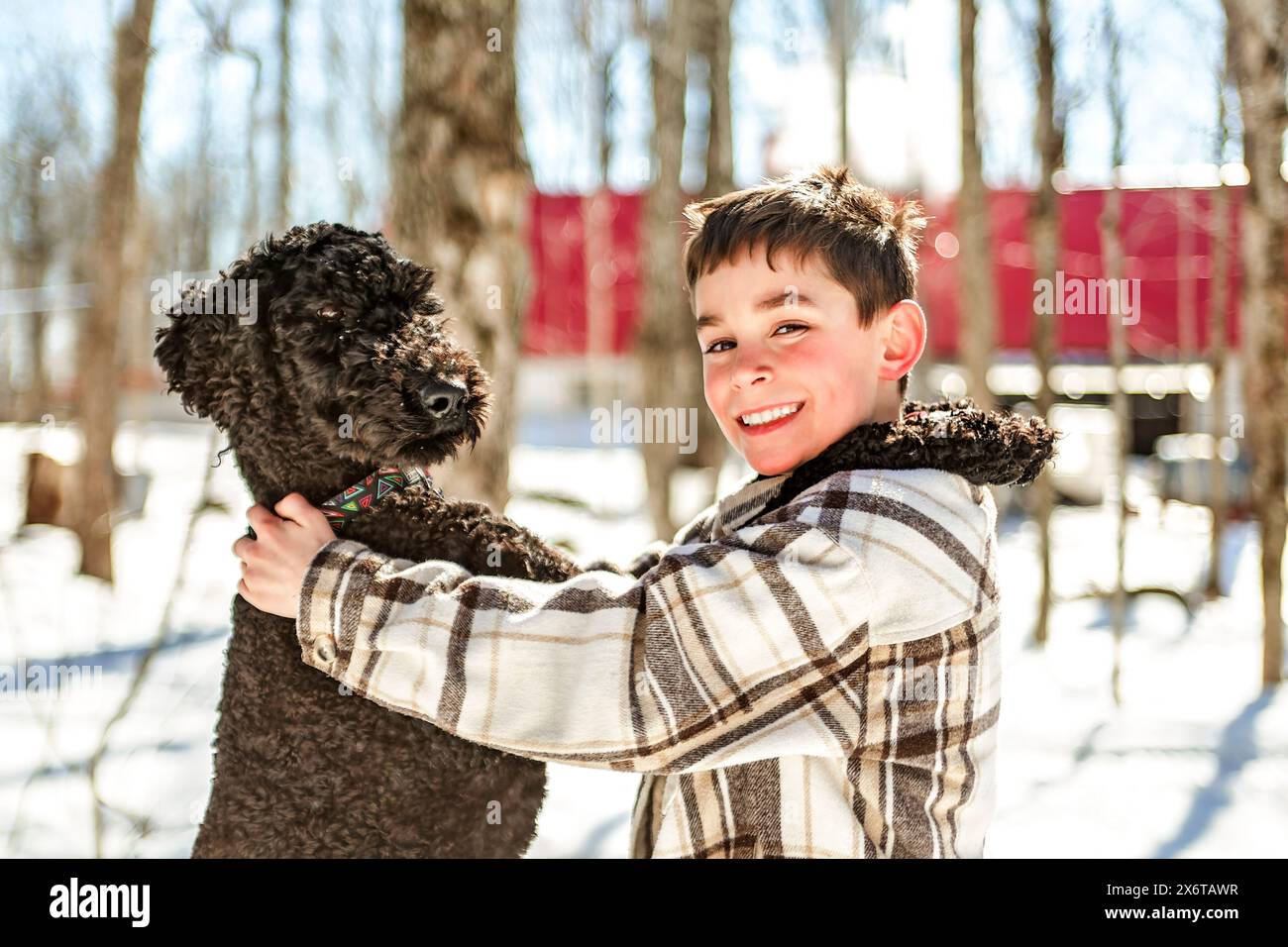 Cute boy playing with happy Goldendoodle on spring season Stock Photo ...