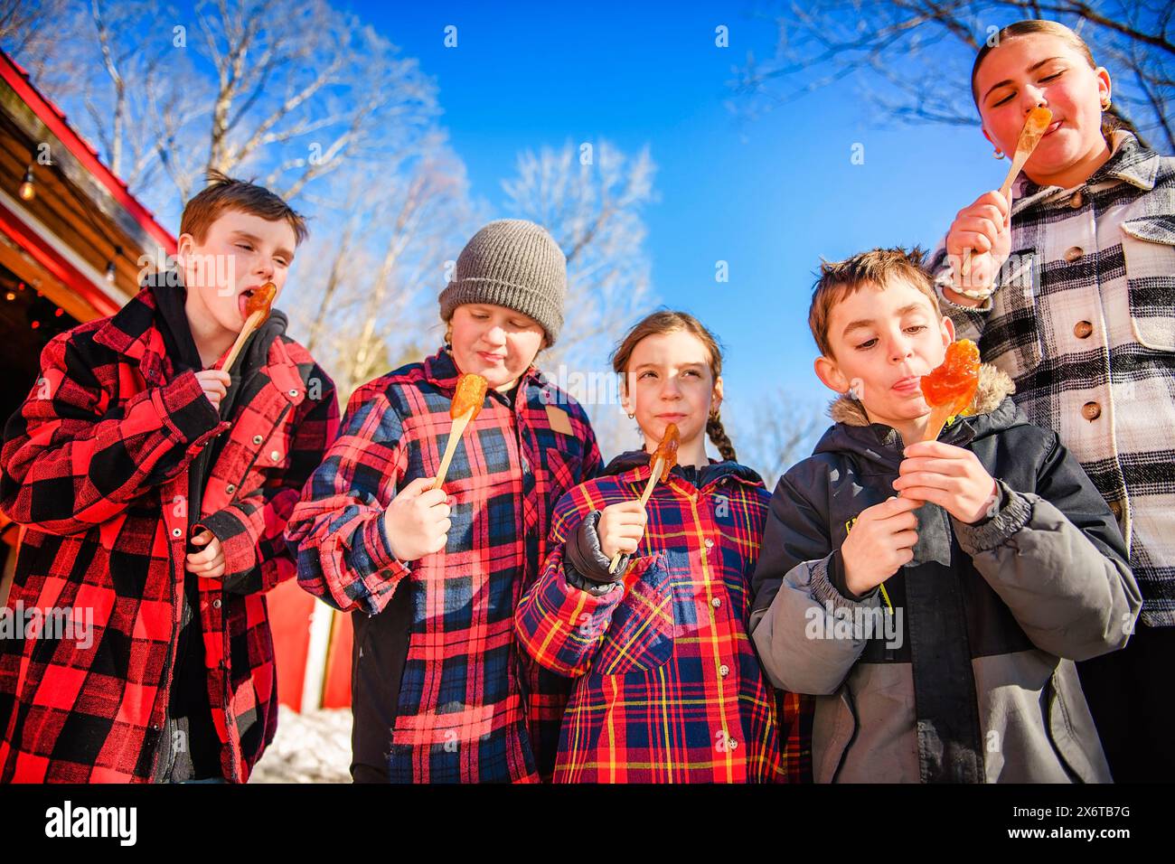 Photo showing children tasting maple syrup with wooden spoon Stock ...