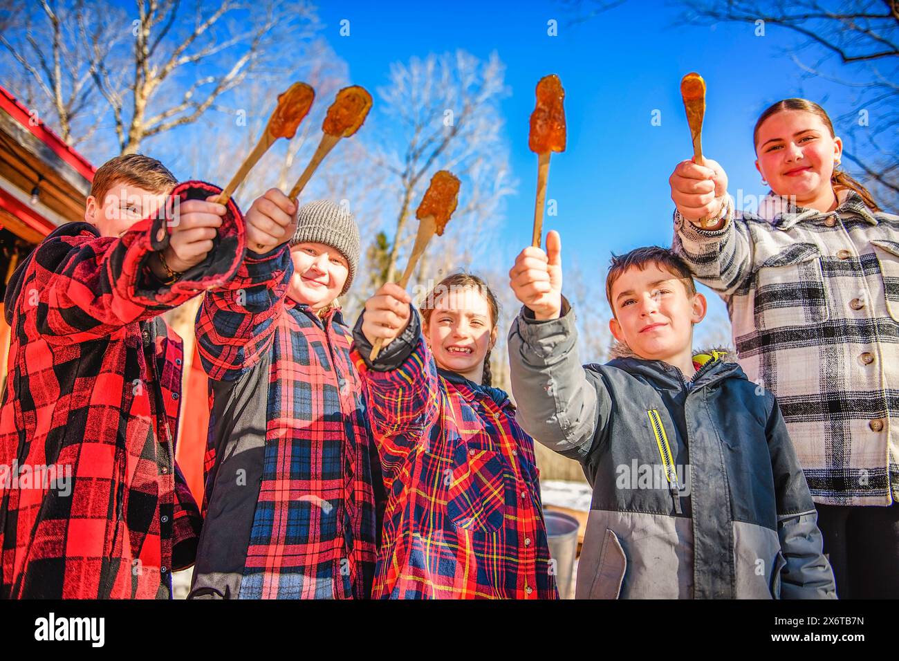 Photo showing children tasting maple syrup with wooden spoon Stock ...