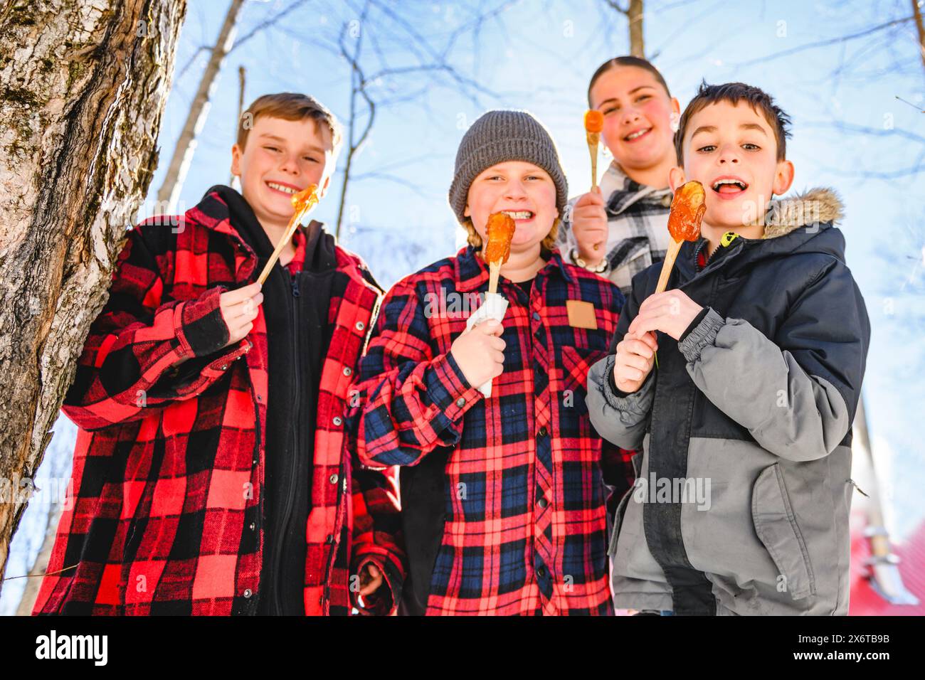 Photo showing children tasting maple syrup with wooden spoon Stock ...