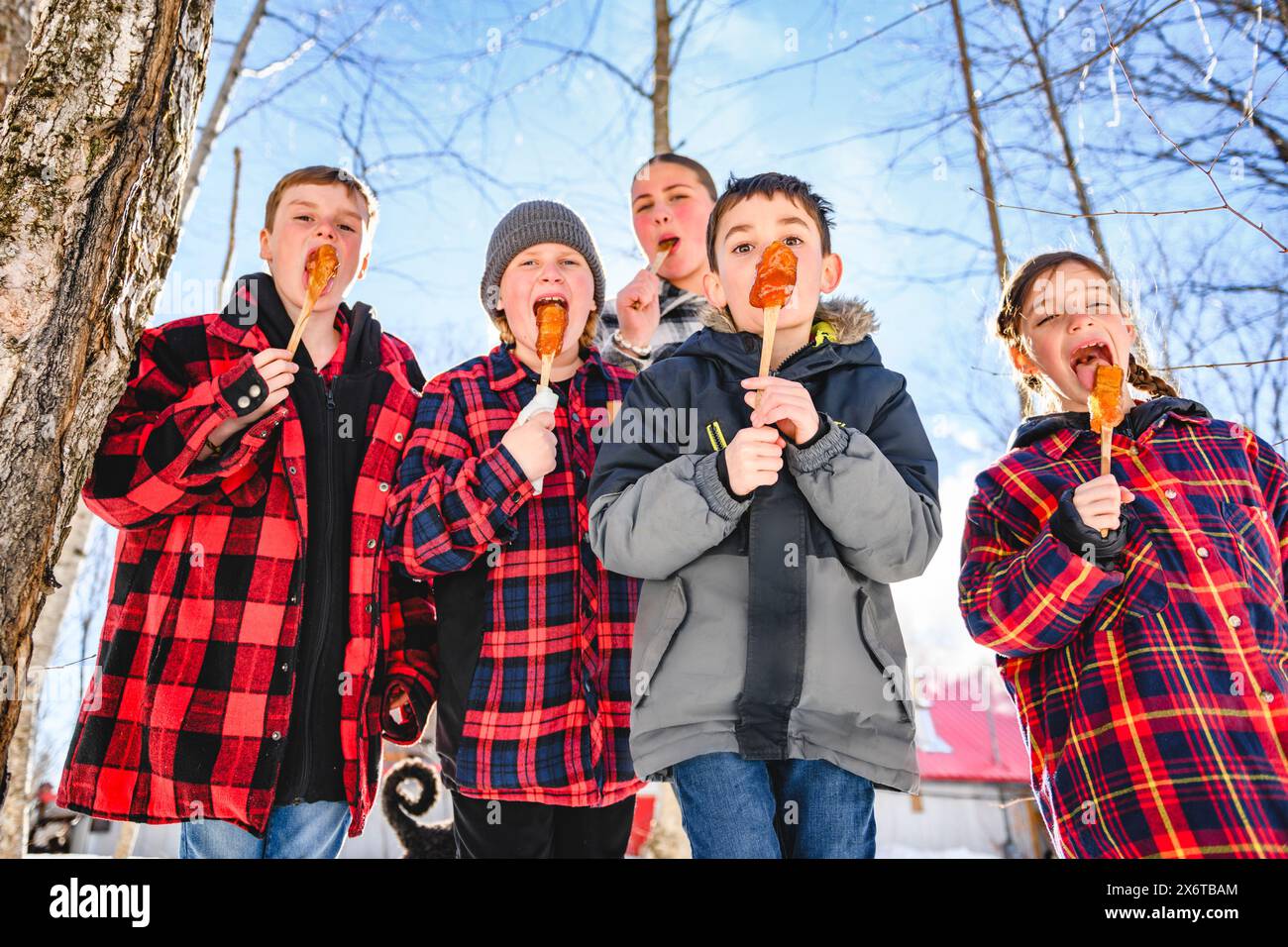 Photo showing children tasting maple syrup with wooden spoon Stock ...