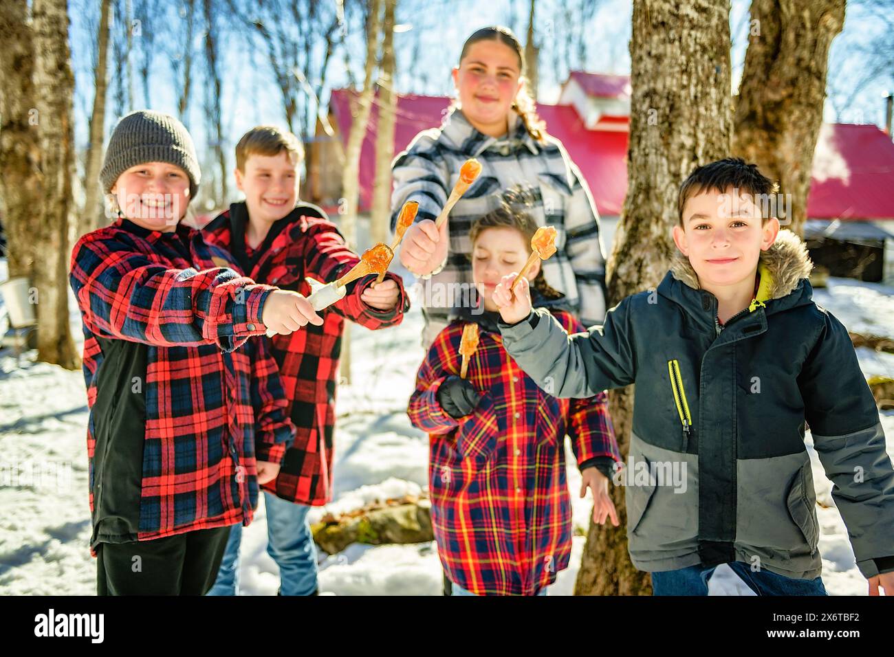 Photo showing children tasting maple syrup with wooden spoon Stock ...