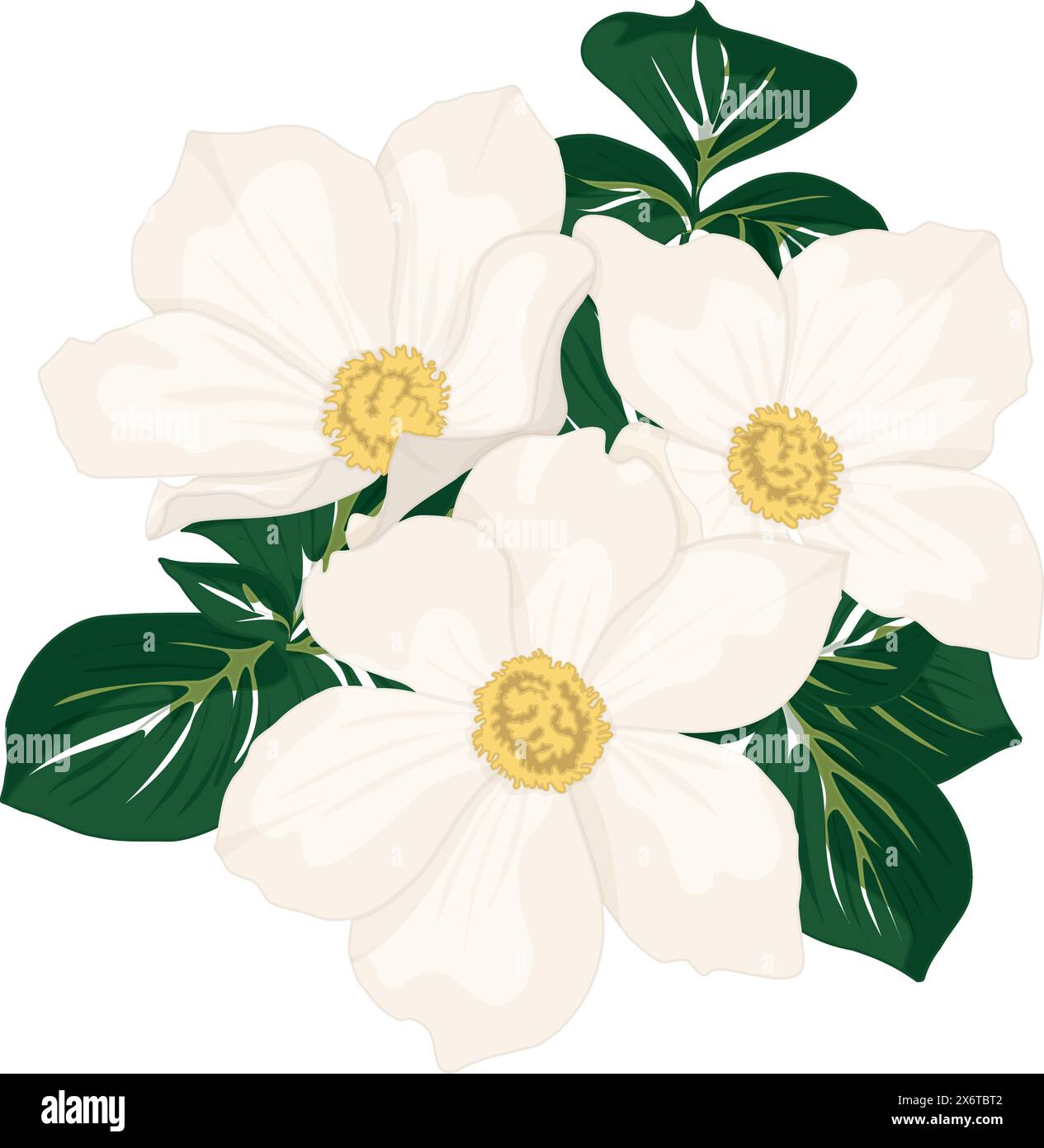 Flowers mountain Stock Vector Images - Alamy