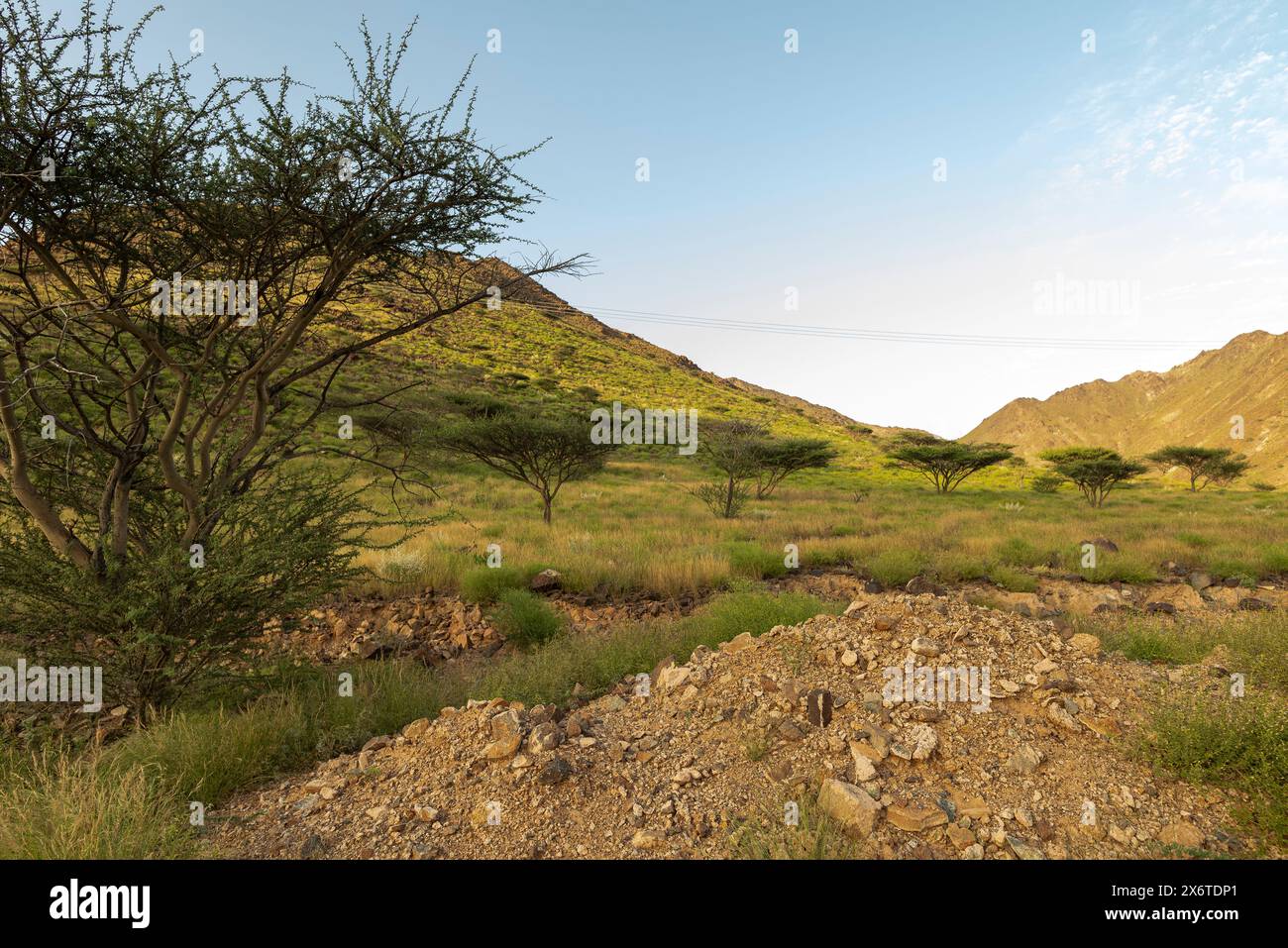 Madha oman hi-res stock photography and images - Alamy