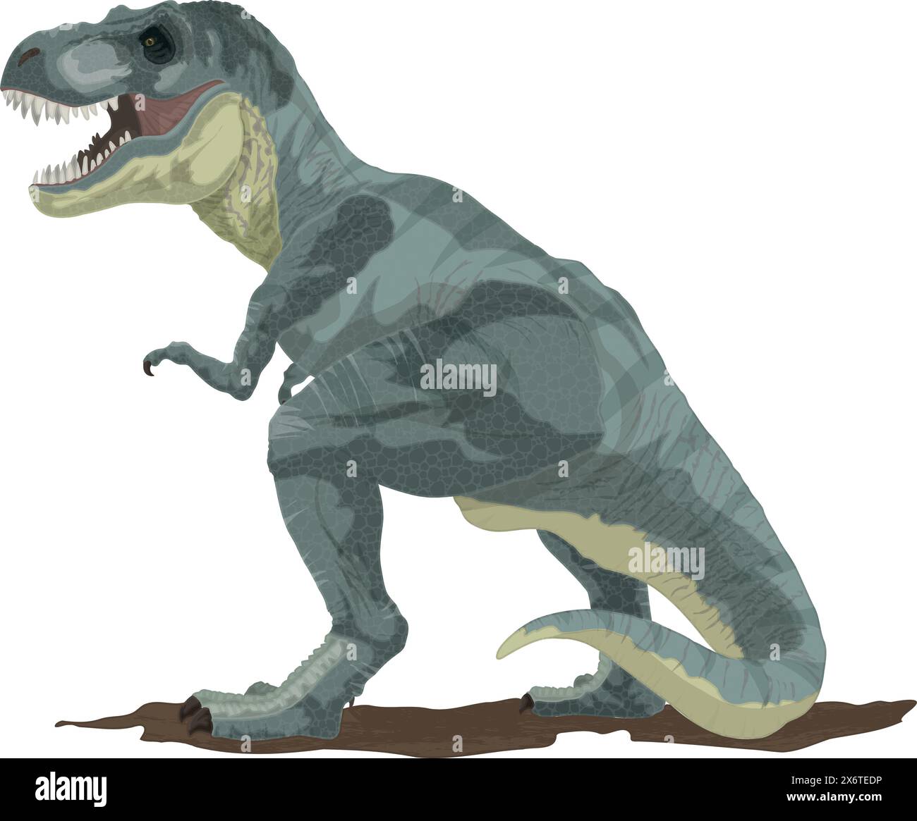 Tyrannosaurus rex vector vectors hi-res stock photography and images ...