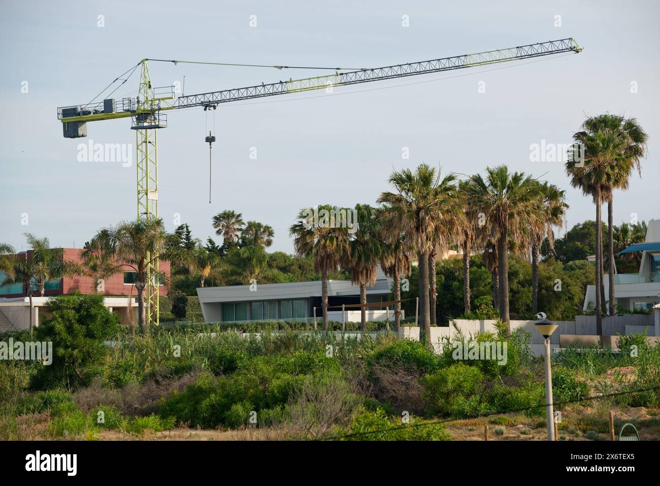 Construction crane in a tropical paradise. Building works amongst palm ...