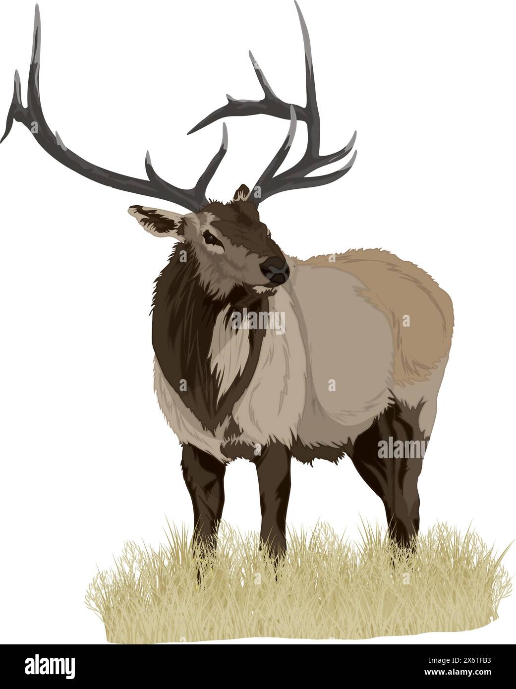 Deer hide Stock Vector Images - Alamy