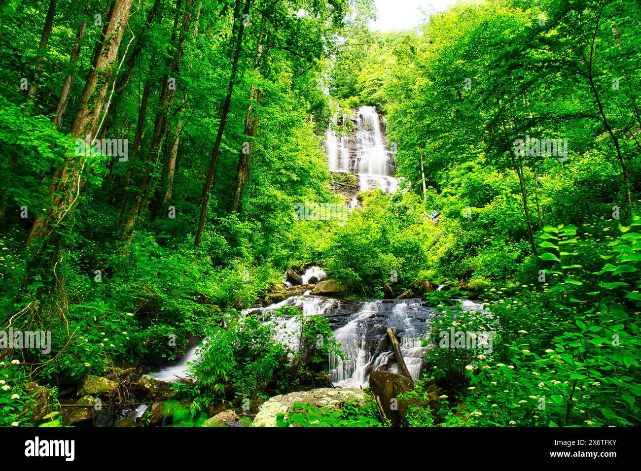 Amicalola falls state park creek hi-res stock photography and images ...