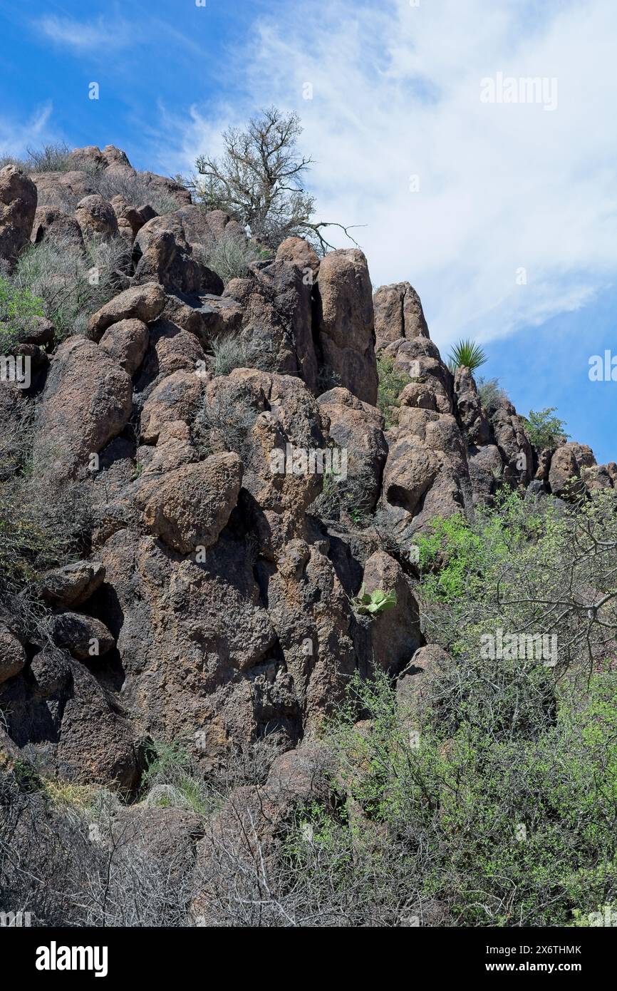 Davis formation hi-res stock photography and images - Alamy