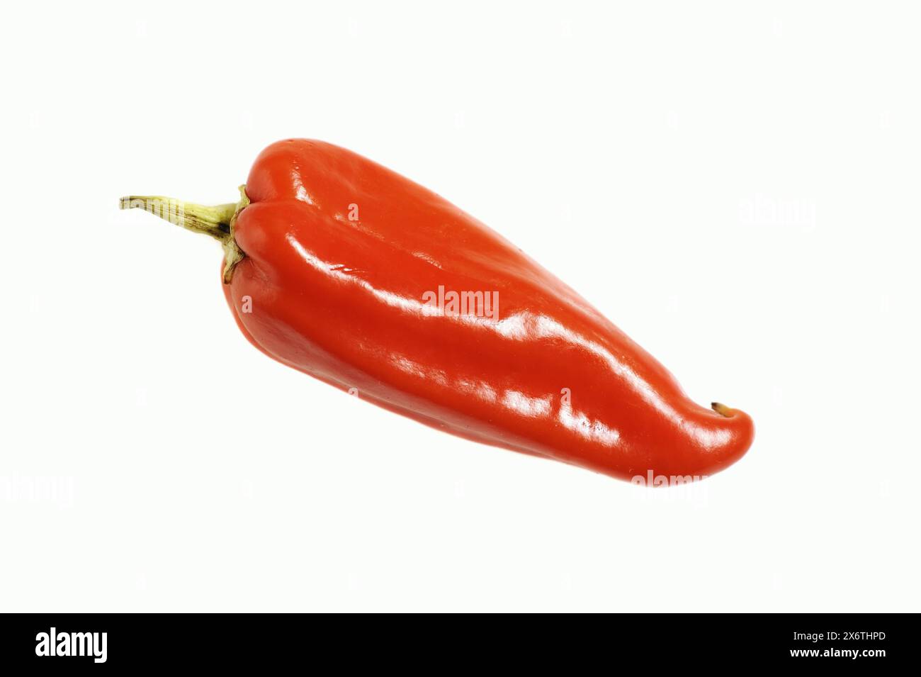 Paprika (Capsicum annuum), red capsicum on a white background Stock ...