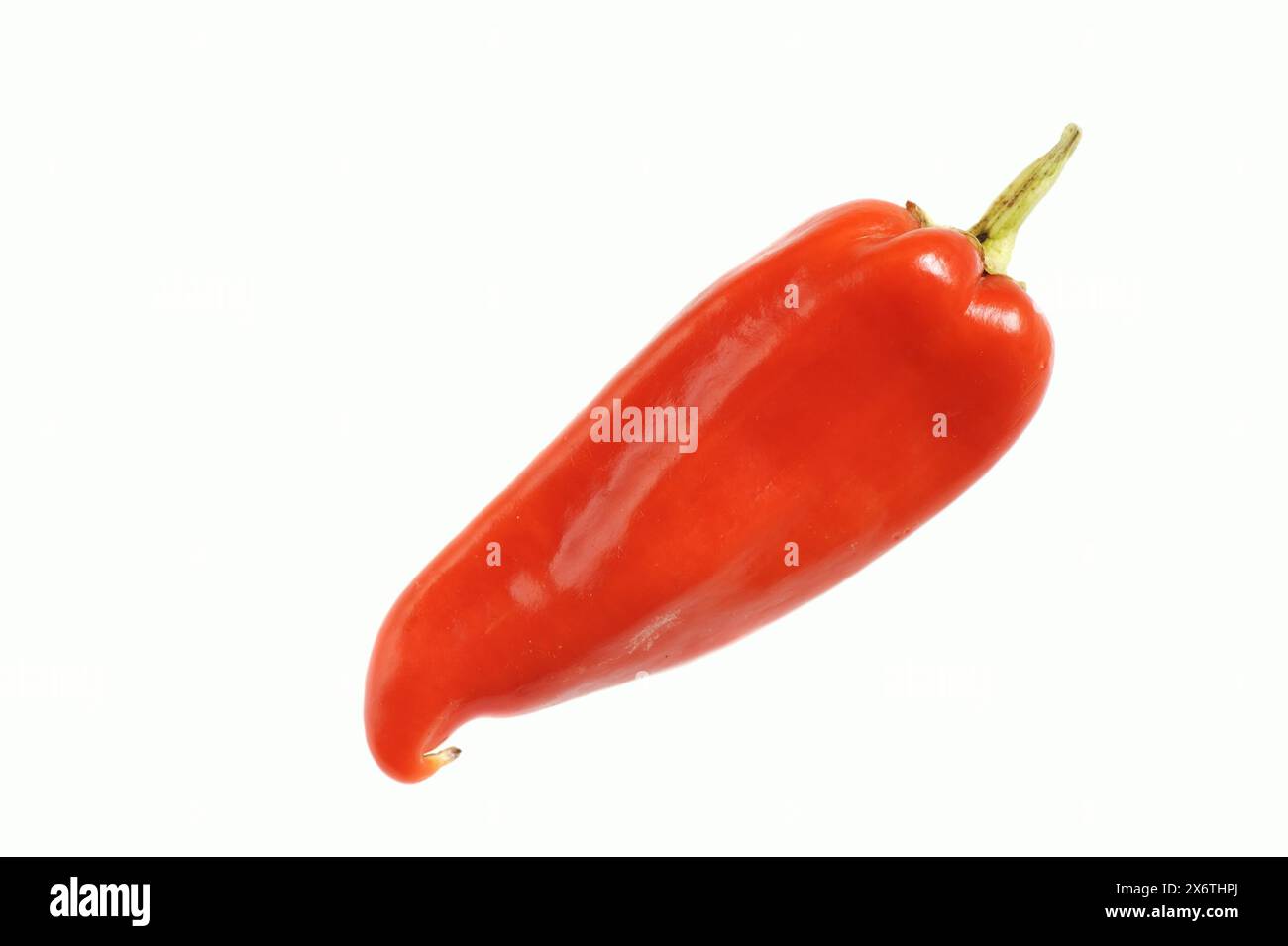 Paprika (Capsicum annuum), red capsicum on a white background Stock ...