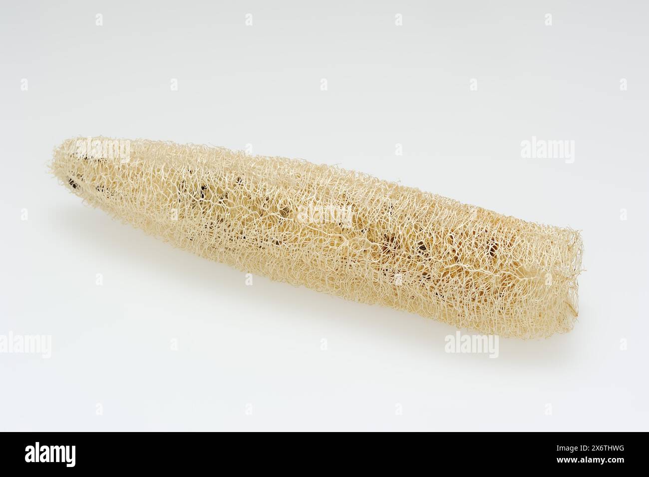 Sponge cucumber (Luffa aegyptiaca, Luffa cylindrica), fibrous interior ...