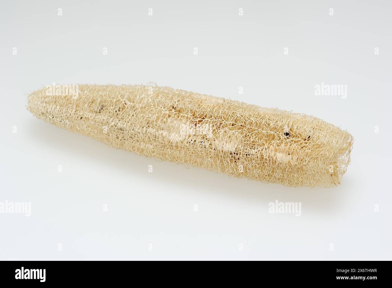 Sponge cucumber (Luffa aegyptiaca, Luffa cylindrica), fibrous interior ...