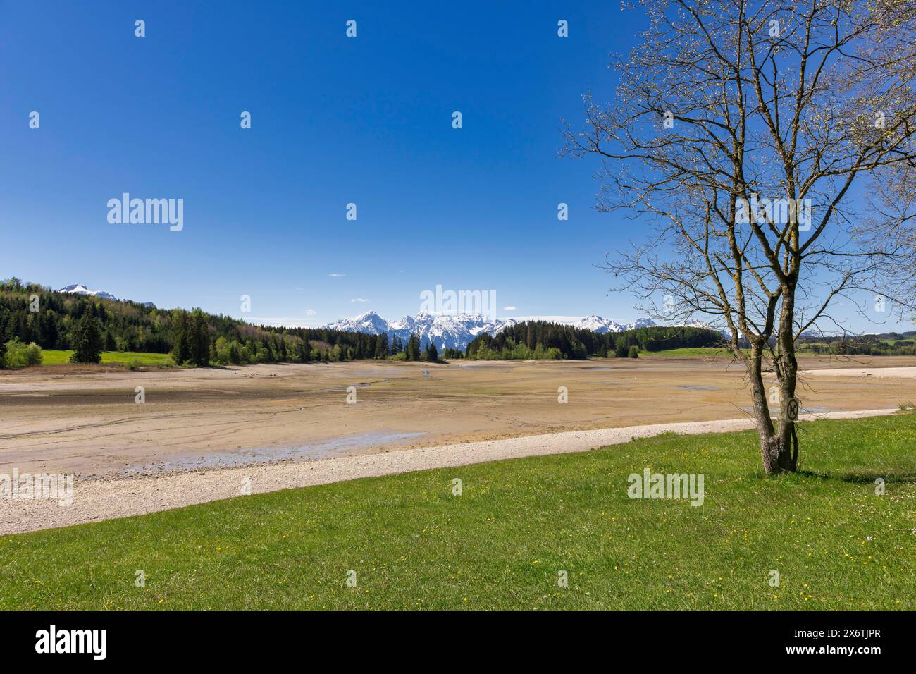 Drained Forggensee, empty, reservoir, flood protection, tree, Allgaeu ...