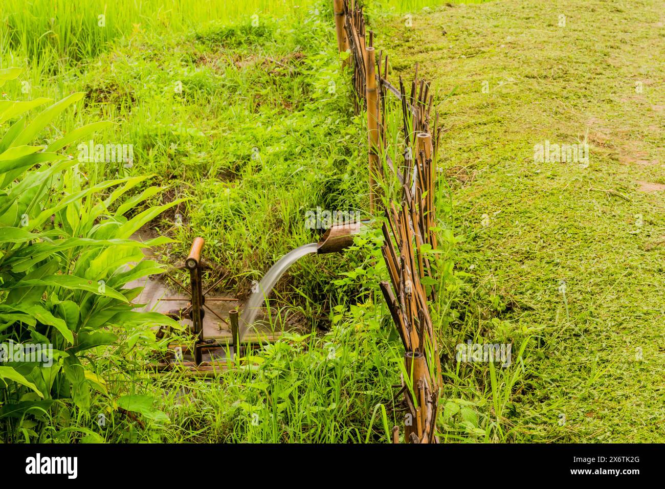 Water flowing from irrigation pipe spinning a small water wheel in ...
