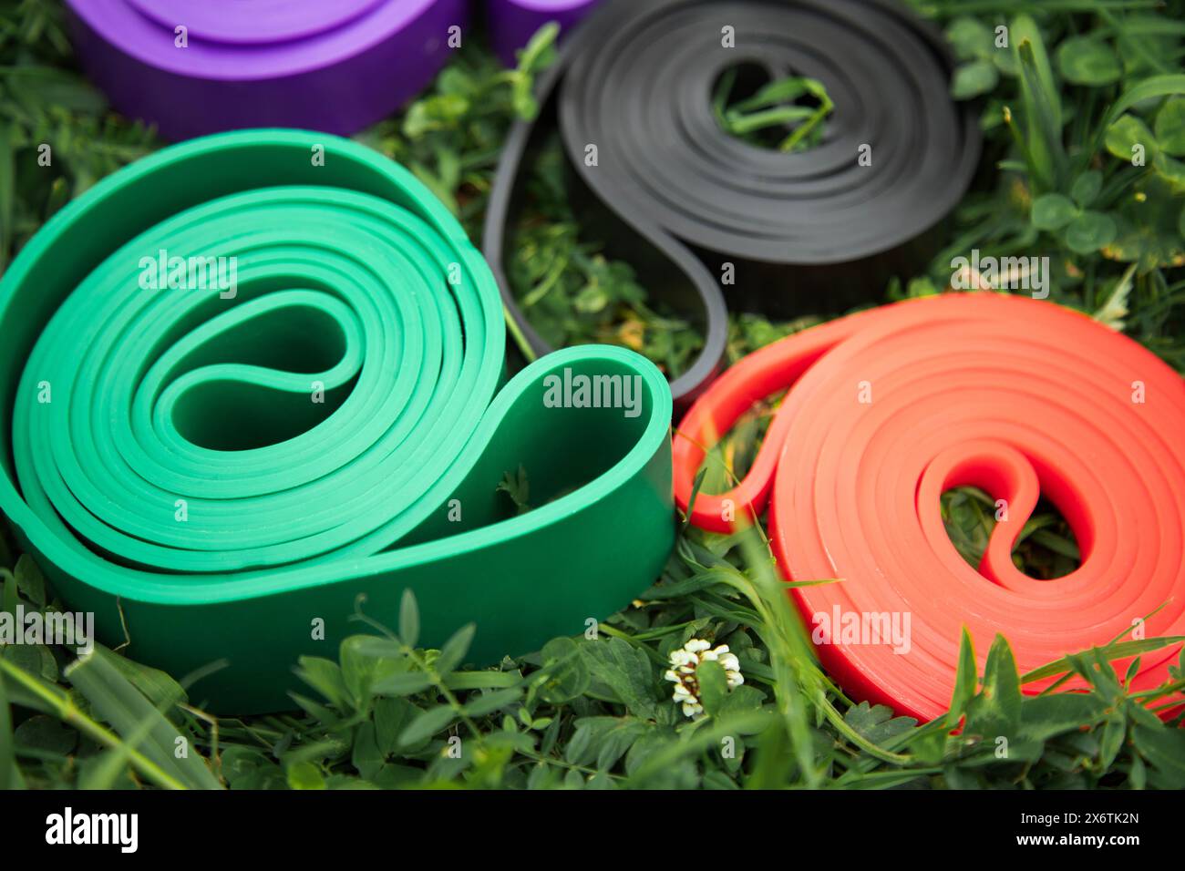 Sports equipment for pumping muscles . Background of colorful rubber ...