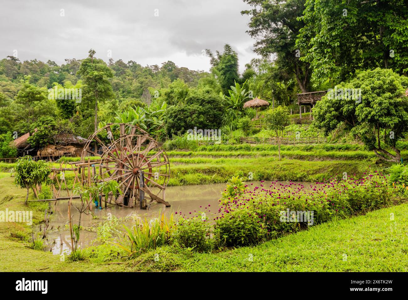 Two wooden turbine baler water wheels in rice paddy at Thai mountain ...