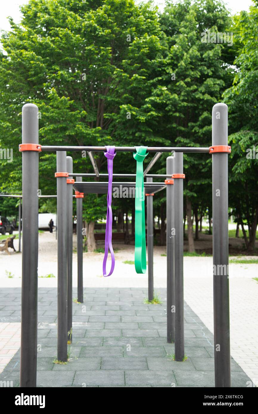 Purple and green Elastic rubber bands for exercise tied on a horizontal ...