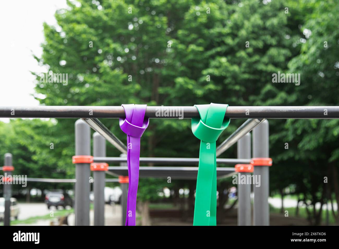 Purple and green Elastic rubber bands for exercise tied on a horizontal ...