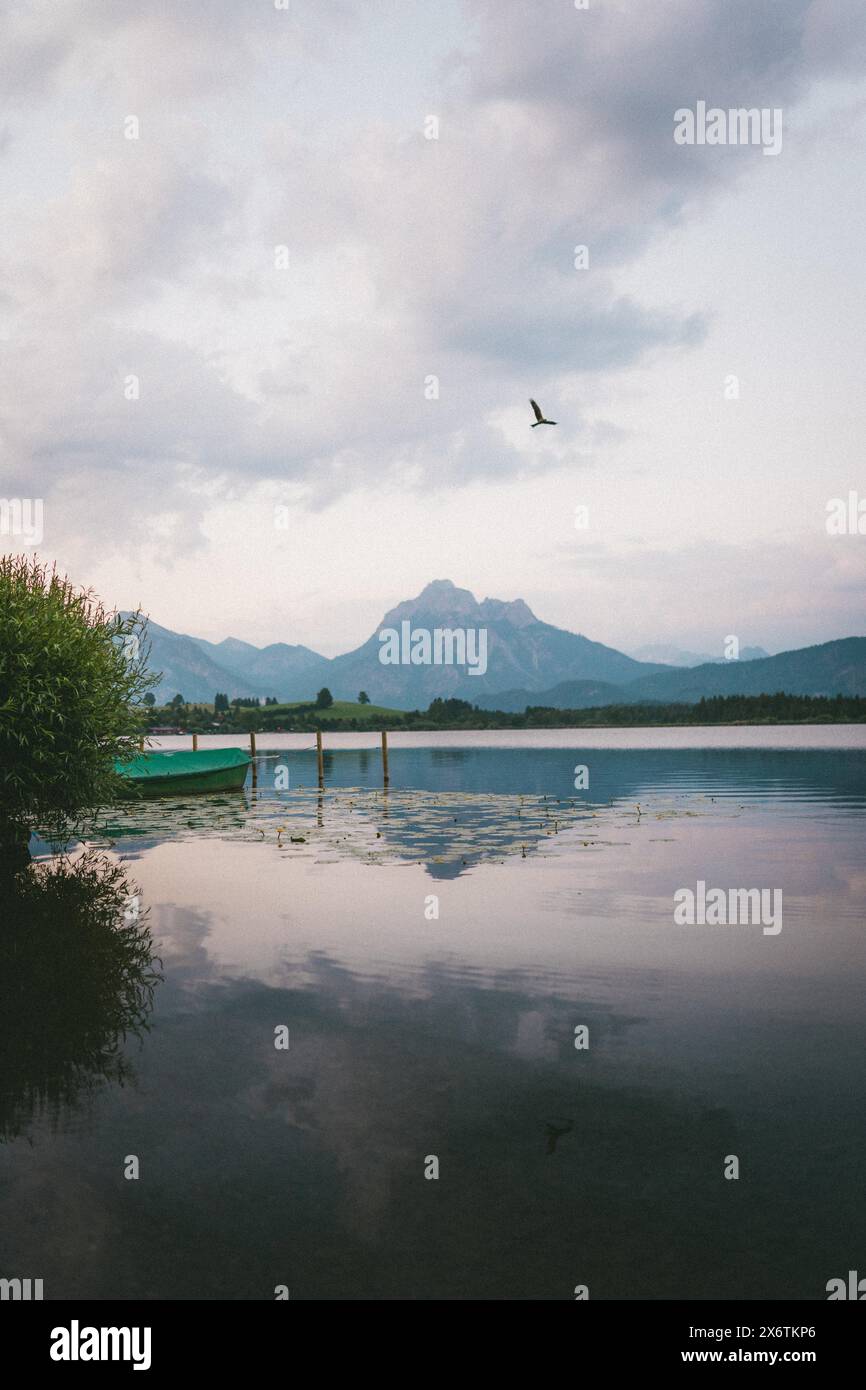 An atmospheric picture with a mountain view, footbridge and a bird ...