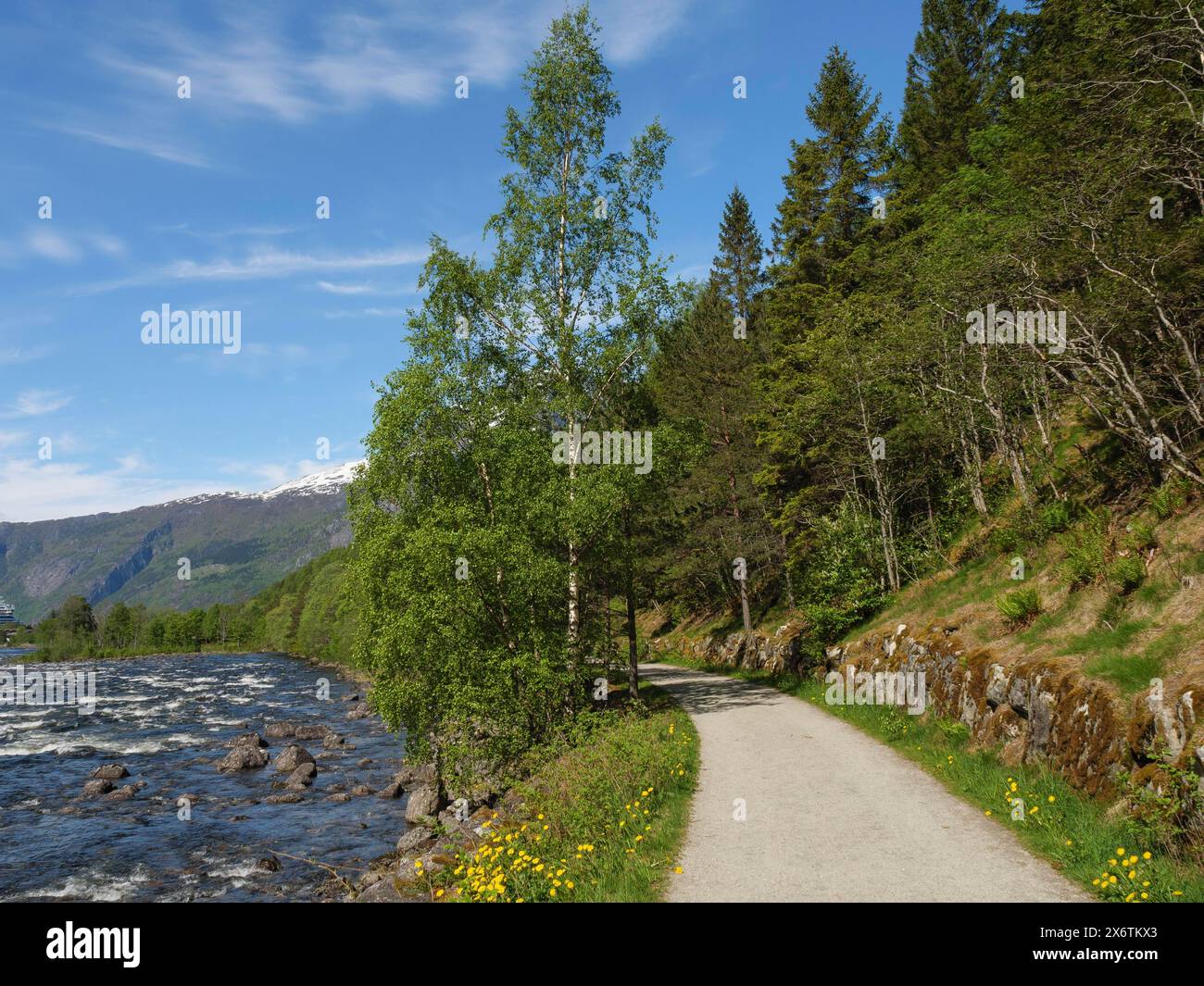 Peaceful path along a river, surrounded by trees and spring ...