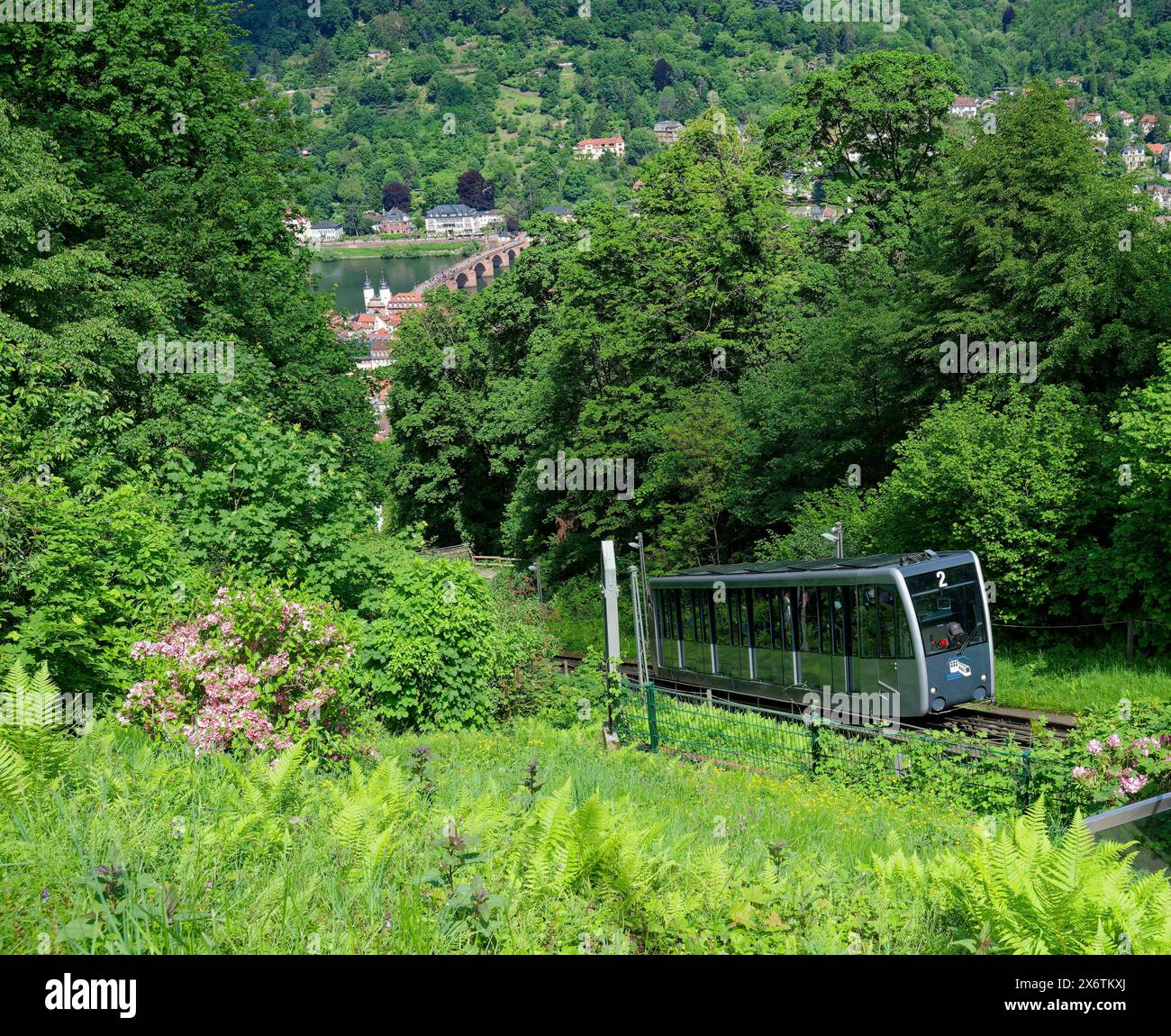 Molkenkurbahn, Heidelberg mountain railway, funicular railway ...