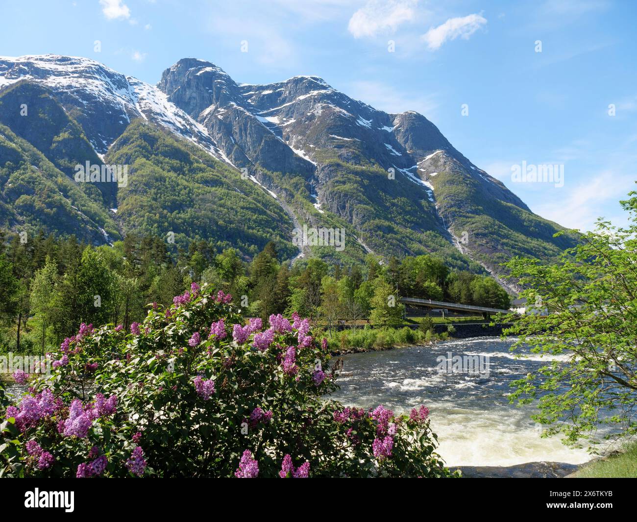 Mountain landscape with river, flowers and snow-capped peaks on a clear ...