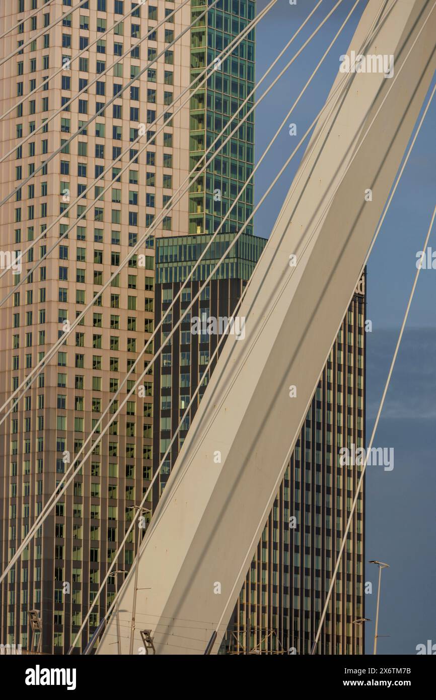 Cityscape with modern skyscrapers and a bridge element in the ...