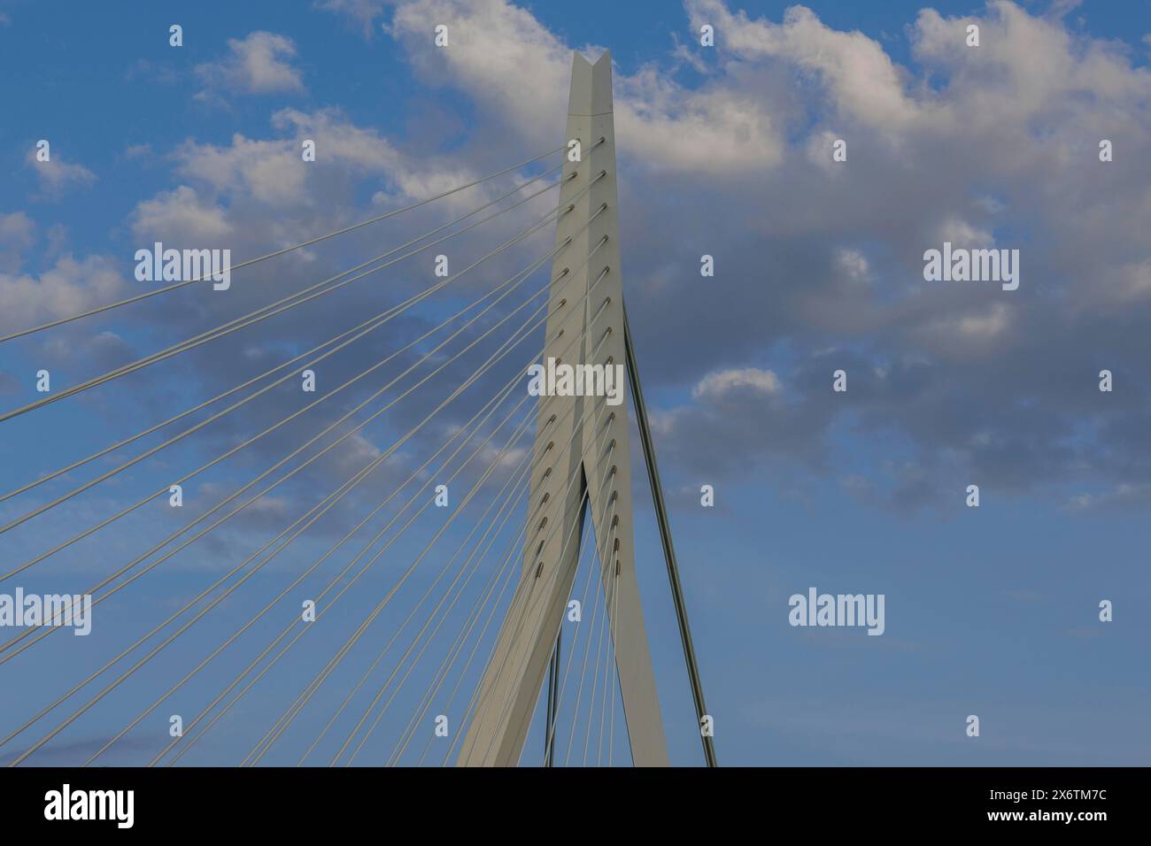 Close-up of a modern bridge with ropes and minimalist design under a ...