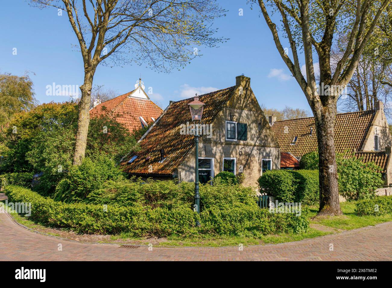 A peaceful village with houses surrounded by lush treetops and green ...