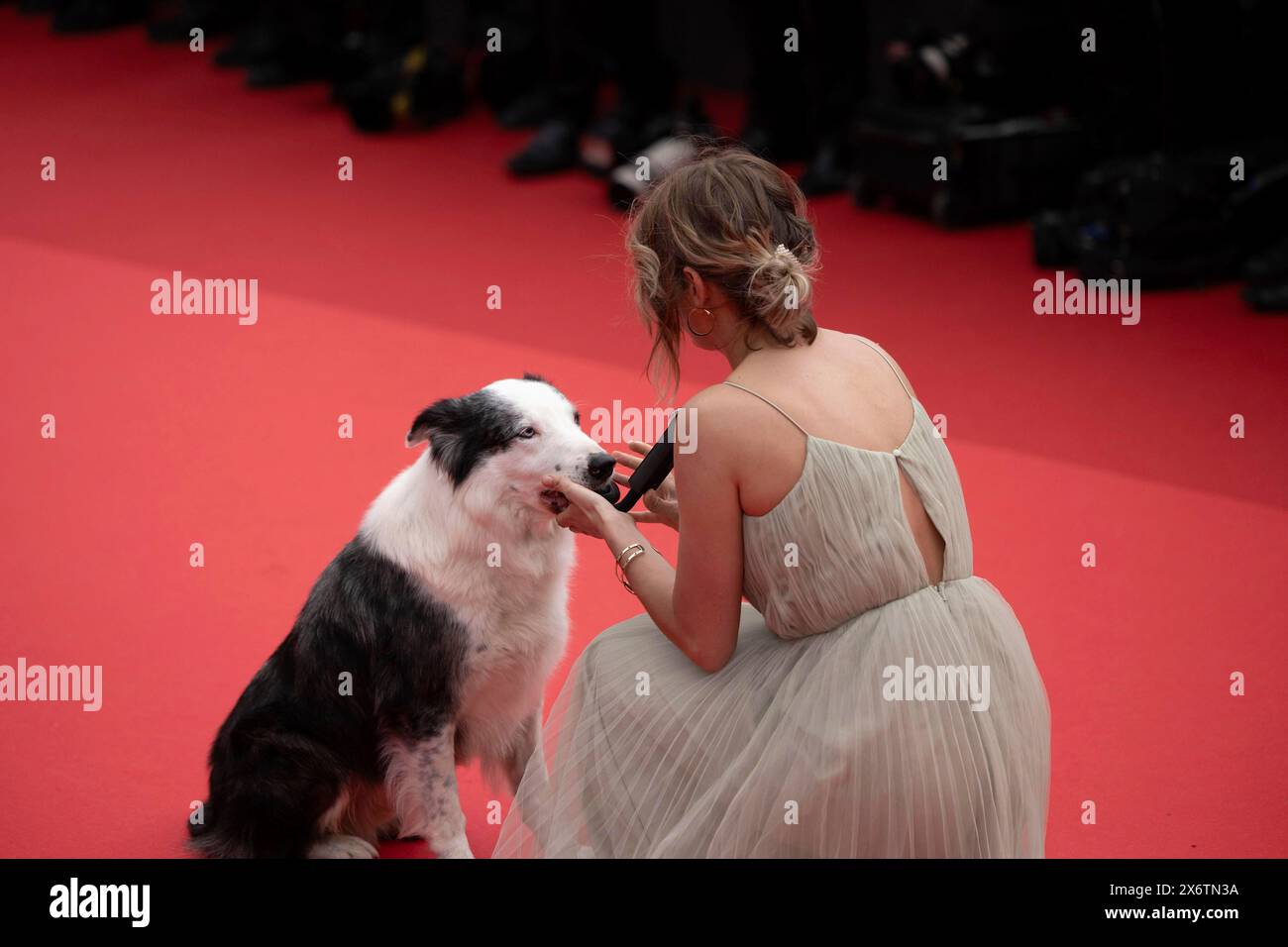 Cannes, France, 14 May 2024: Laura Martin Contini and Messi the Dog ...