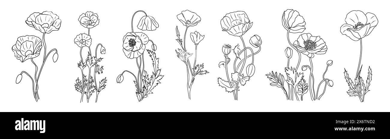 Simple flower drawings hi-res stock photography and images - Alamy