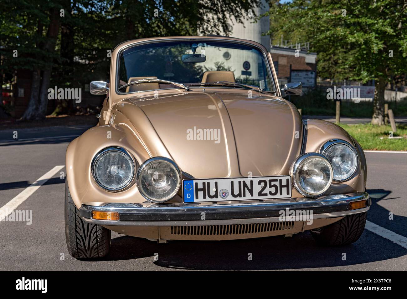 Oldtimer Volkswagen VW Beetle Cabriolet, convertible, restored, refined, number plate changed ...