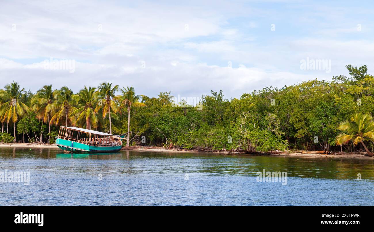 Coastal landscape with palm trees and abandoned ship laying at the ...