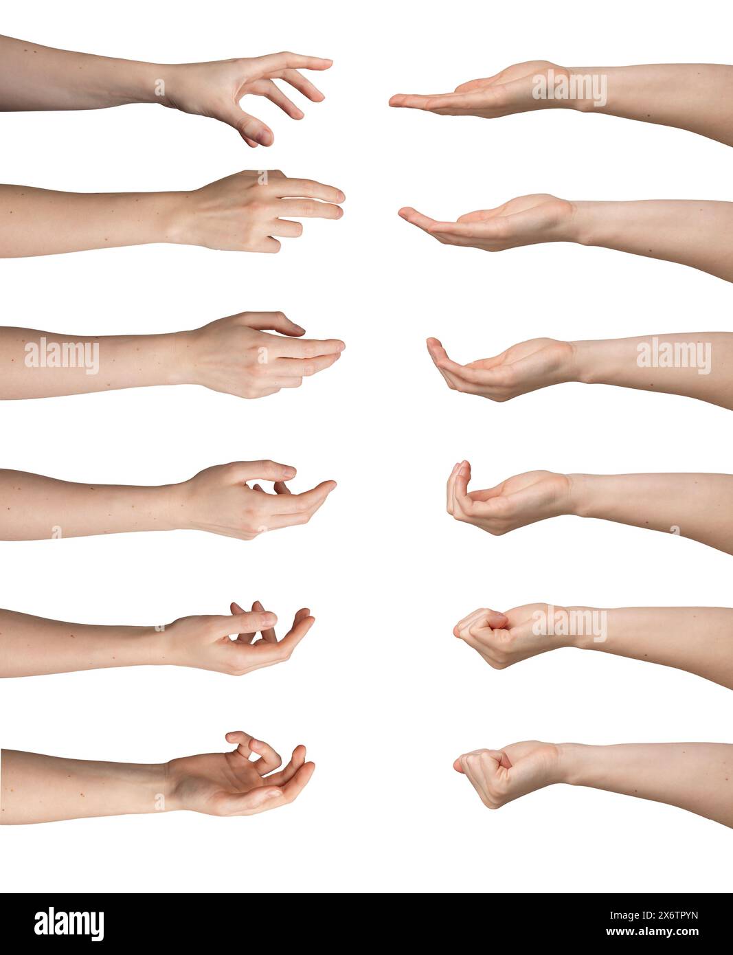 Woman showing hand gestures, fingers movements isolated. Closeup of arm gestures on white ...
