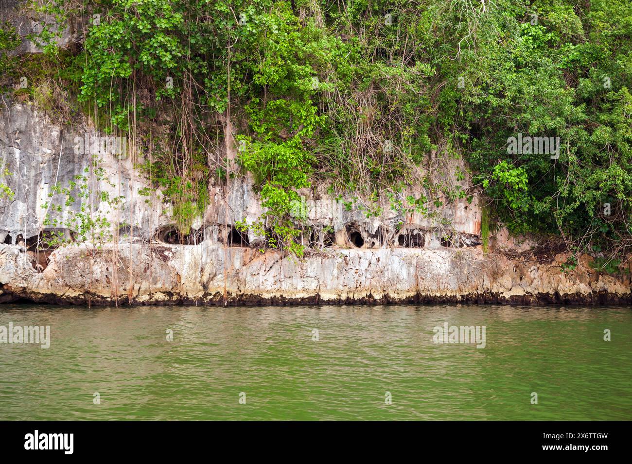 Rocky coast with small caves. Samana bay. Dominican republic, natural ...