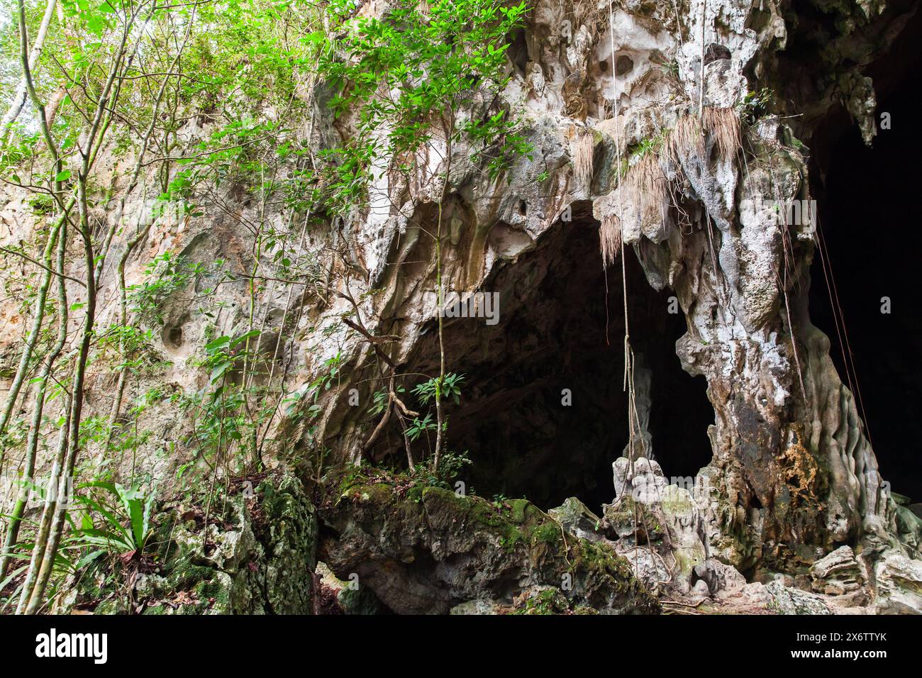 Caves of the national park Los Haitises. Samana Gulf, Dominican ...