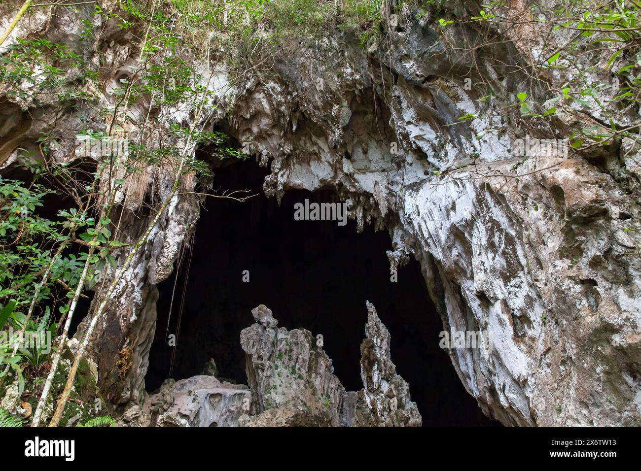 Entrance to caves in the national park Los Haitises. Samana Gulf ...