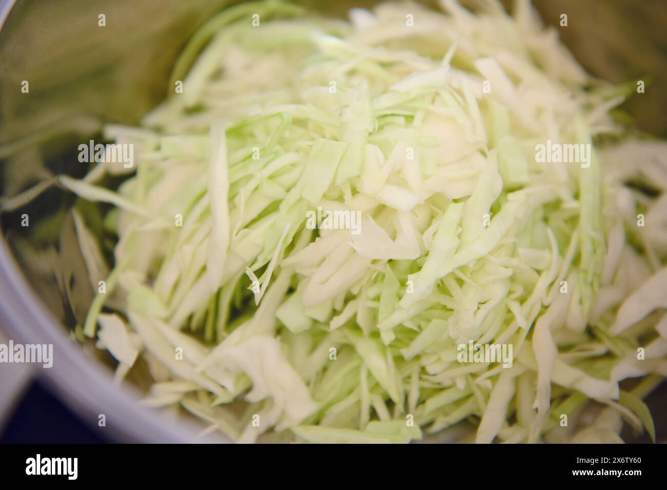 Close-up view. Chopped raw juicy cabbage in stainless steel saucepan ...